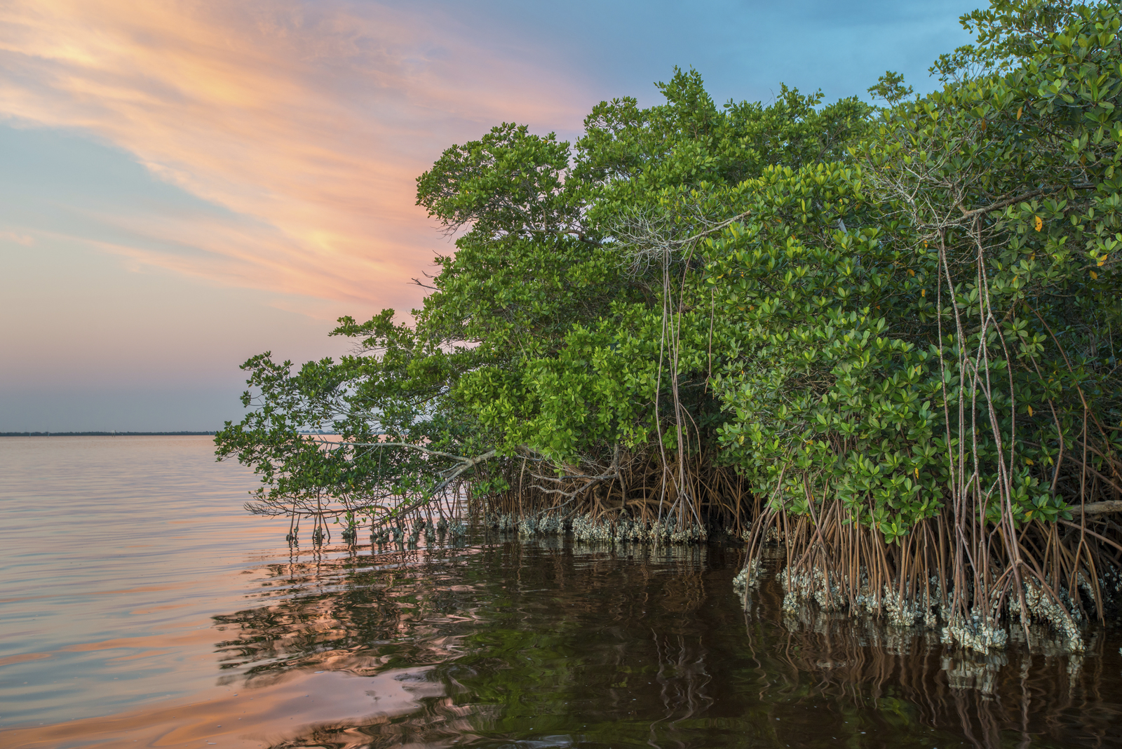 Ecosystem Services Mapping Ocean Wealth