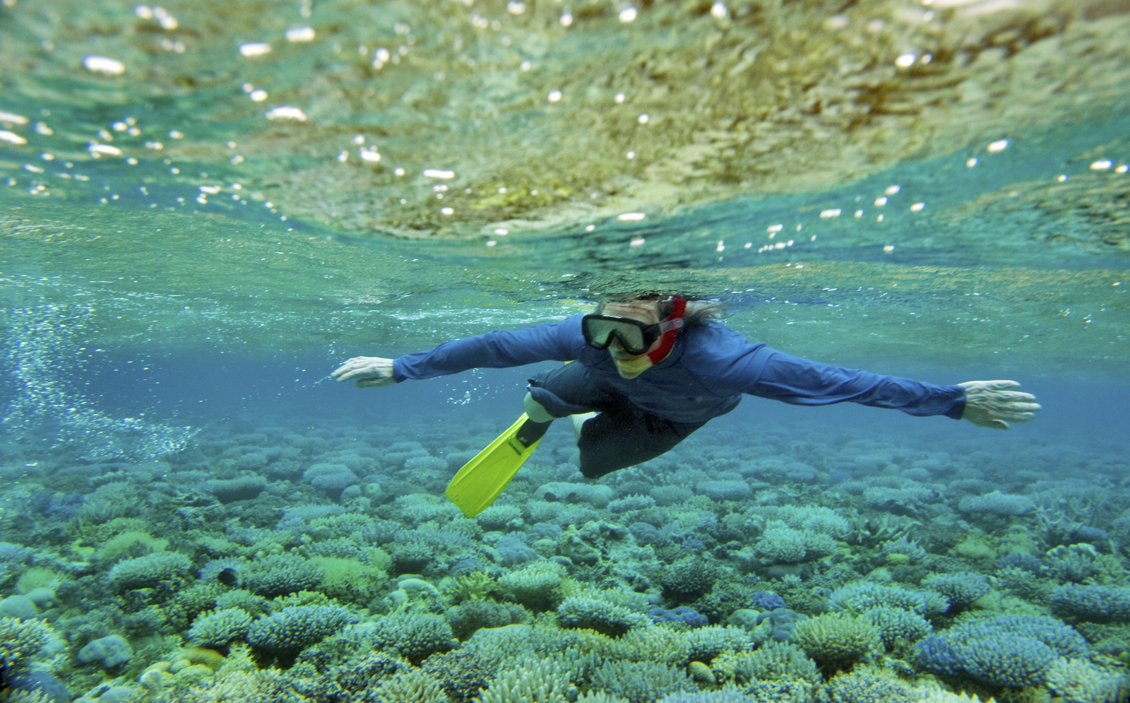 Ecosystem Services Mapping Ocean Wealth