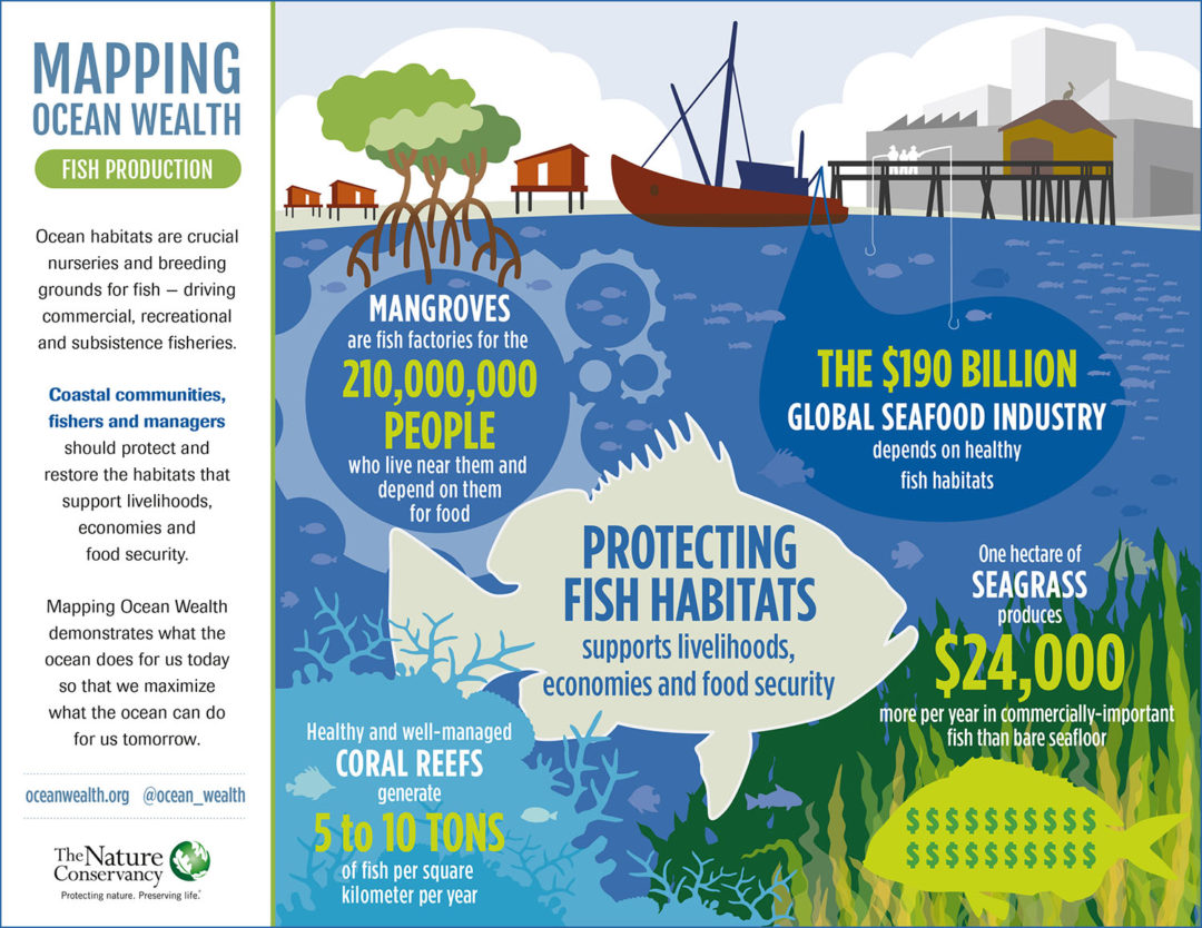 Fisheries – Mapping Ocean Wealth