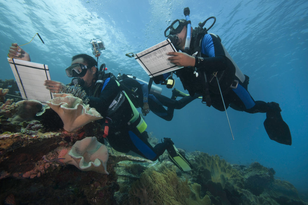 Resources Mapping Ocean Wealth