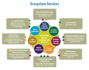Ecosystem Services – Mapping Ocean Wealth