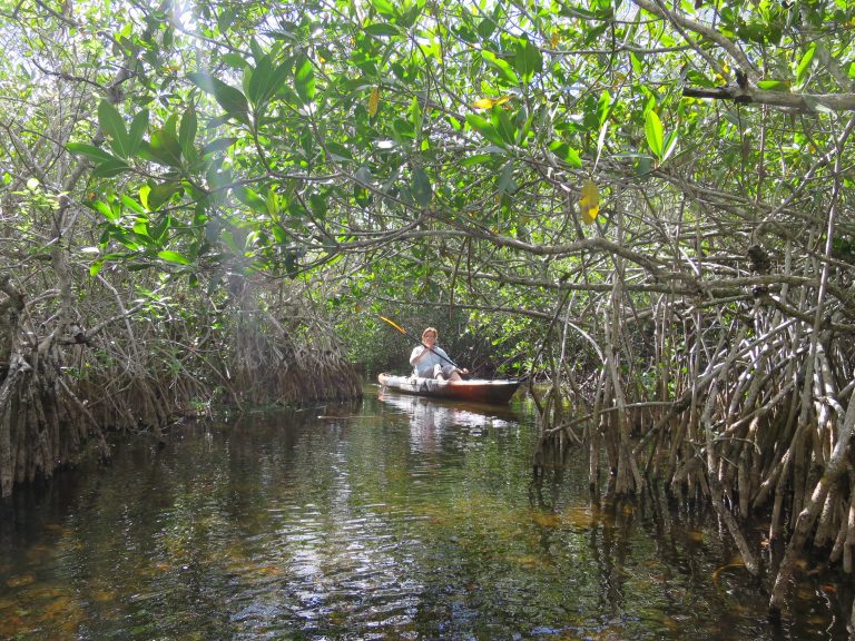 Recreation & Tourism – Mapping Ocean Wealth
