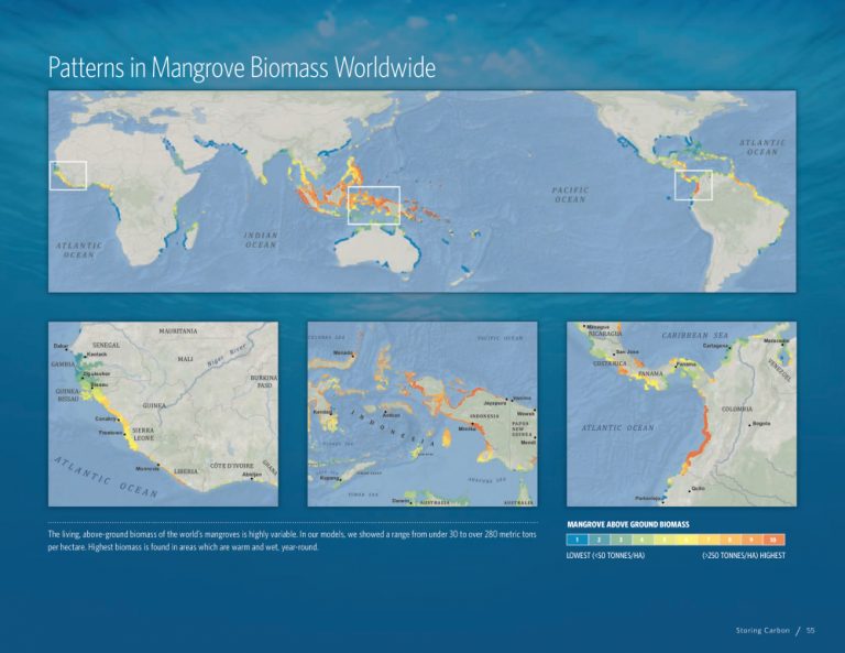Carbon Storage & Sequestration – Mapping Ocean Wealth