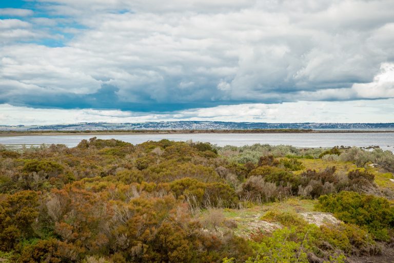 Coastal Protection – Mapping Ocean Wealth