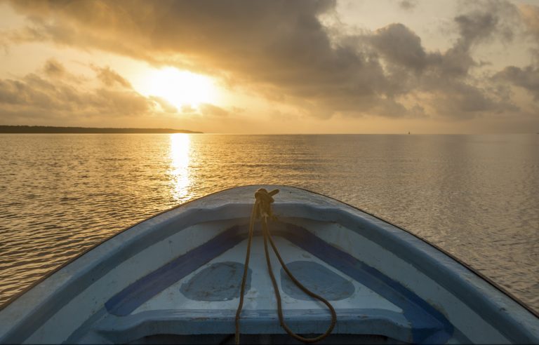 Ecosystem Services – Mapping Ocean Wealth