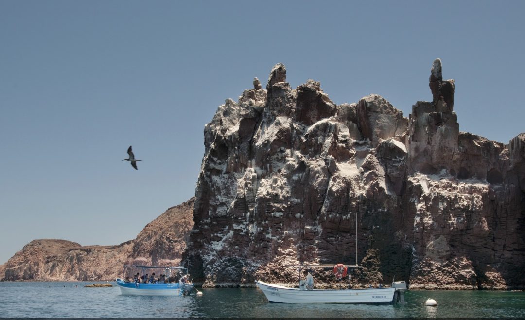 Gulf of California – Mapping Ocean Wealth