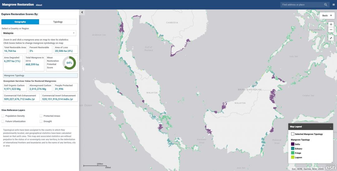 Explore the Mangrove Restoration Potential Mapping Tool – Mapping Ocean Wealth
