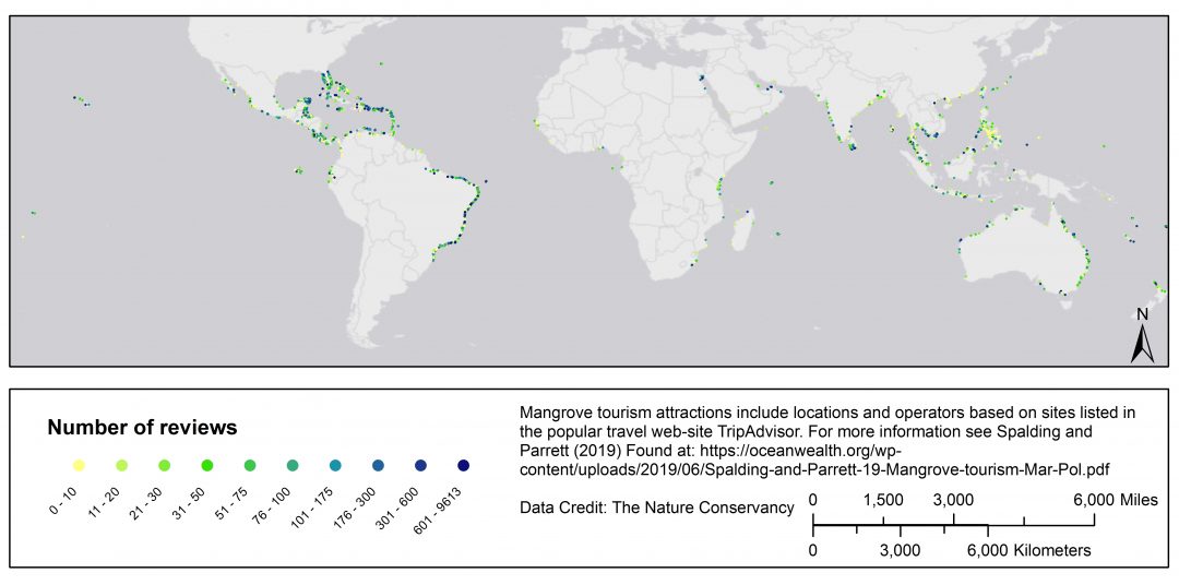 New Mapping Ocean Wealth Study Maps the Opportunity for Mangrove ...