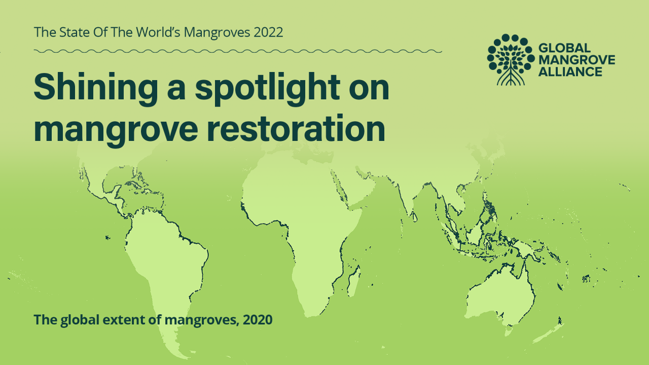 The State of the World’s Mangroves 2022 – Mapping Ocean Wealth
