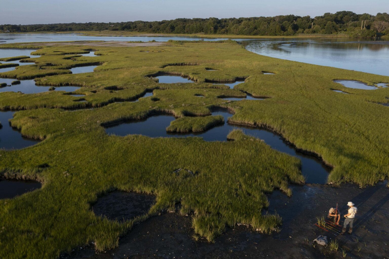 New research reveals the carbon-storing potential of tidal marshes ...